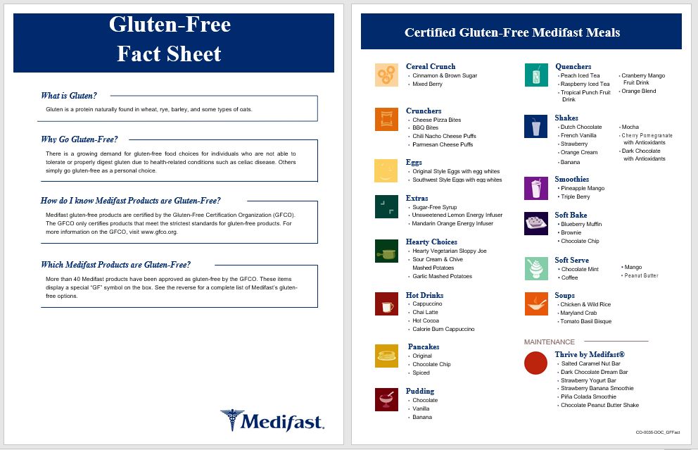 Fact Sheet Templates 16 Free Printable Templates My Word Templates Fact Sheet Templates 16 Free Printable Templates My Word Templates