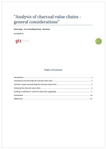 Value Chain Analysis Report Template 04 - My Word Templates